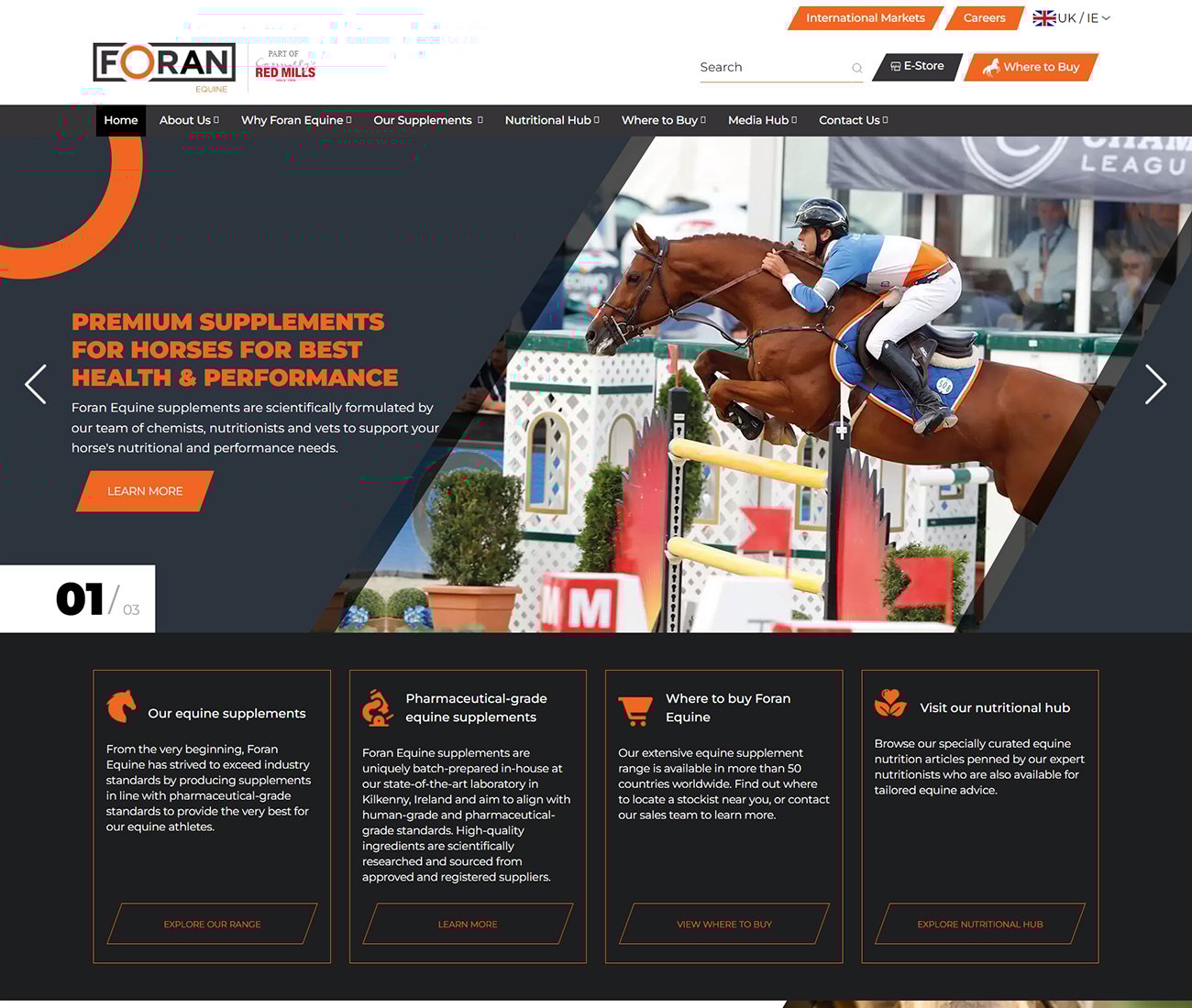 Website Design & Development Services